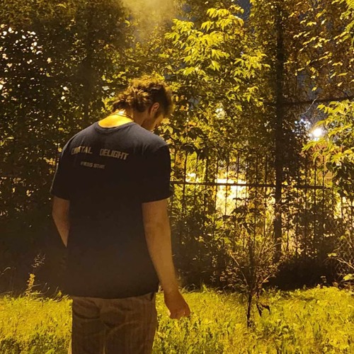 Stream X-Ray music | Listen to songs, albums, playlists for free on ...