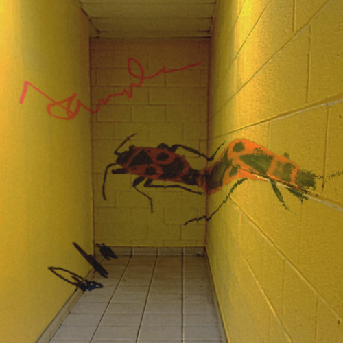 Stream fishiee music | Listen to songs, albums, playlists for free on ...