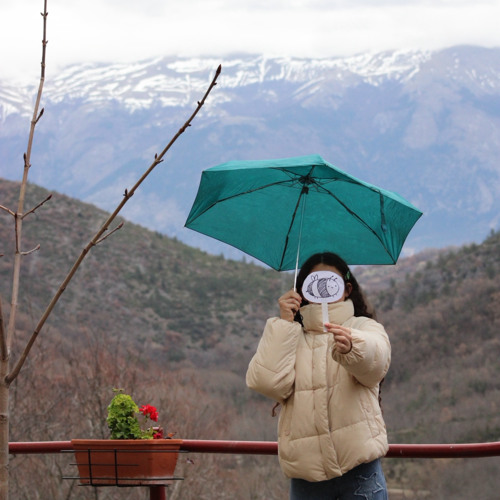 Stream bee music | Listen to songs, albums, playlists for free on ...