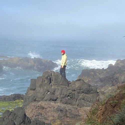 Stream Birds (Neil Young Cover) by Salt Shackle | Listen online for ...