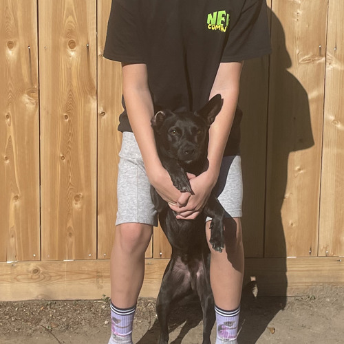 Stream Aaron shawver music | Listen to songs, albums, playlists for ...