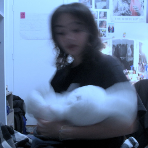 Stream fiona slattery music | Listen to songs, albums, playlists for ...