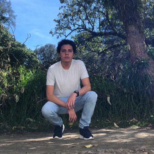 Stream Unknown Visitor / Ineluctabilis music | Listen to songs, albums ...