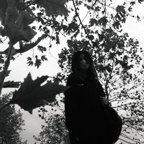 Stream bvcz music | Listen to songs, albums, playlists for free on ...