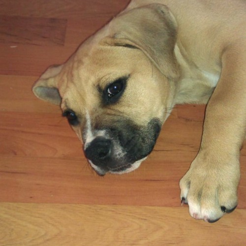 Stream Kay Pot music | Listen to songs, albums, playlists for free on ...