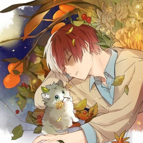 Stream Shoto Todoroki music | Listen to songs, albums, playlists for ...