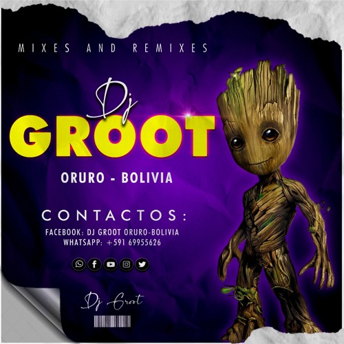 Stream Dj Groot music | Listen to songs, albums, playlists for free on ...