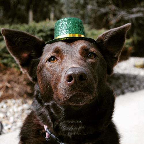 Stream Walker Fanning music | Listen to songs, albums, playlists for ...