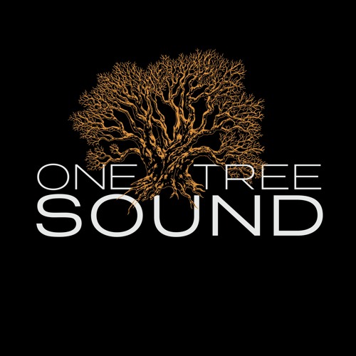 Stream Astor Piazzolla - Four Seasons - Robin Bollinger, soloist ...