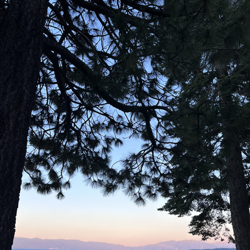 Stream Maya Gilardi music | Listen to songs, albums, playlists for free ...