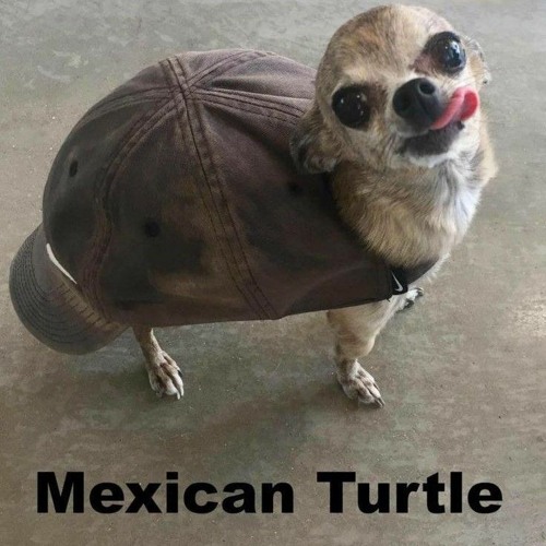 Stream hkjj music | Listen to songs, albums, playlists for free on ...