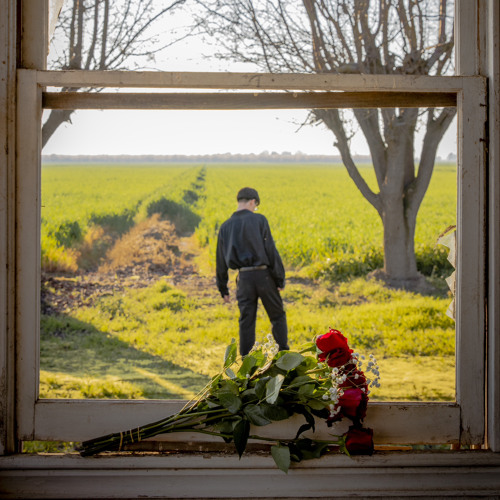 Stream Merrick Eng music | Listen to songs, albums, playlists for free ...