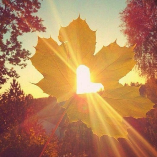 Stream Manar Ragab music | Listen to songs, albums, playlists for free on SoundCloud