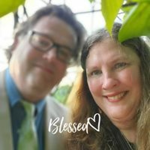 Stream Jennifer Hartwell Sheedy music | Listen to songs, albums ...