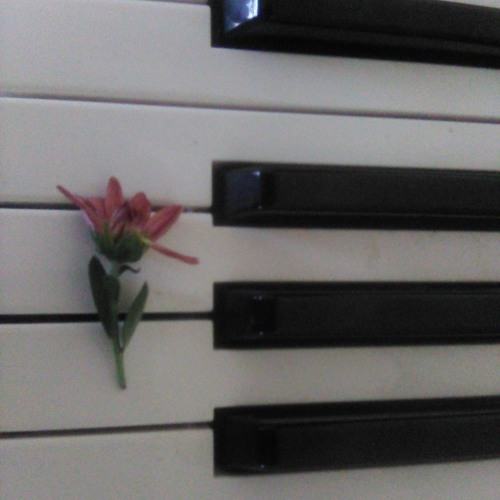 Stream Eva Tortora music | Listen to songs, albums, playlists for free ...