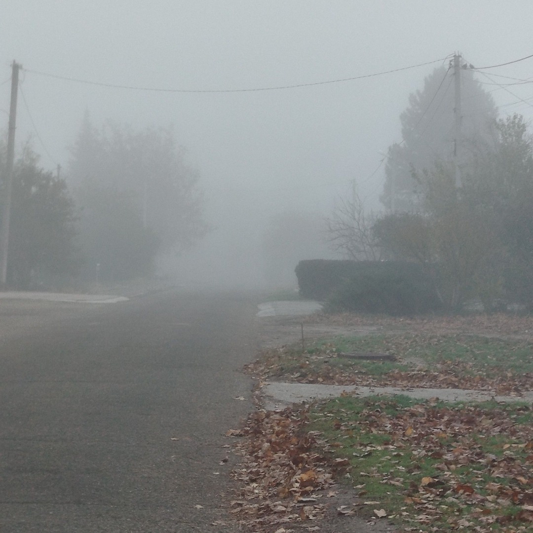 Stream gfgfgf music | Listen to songs, albums, playlists for free on ...