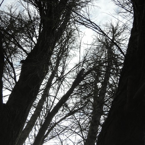 Stream Ian Popperwell music | Listen to songs, albums, playlists for ...