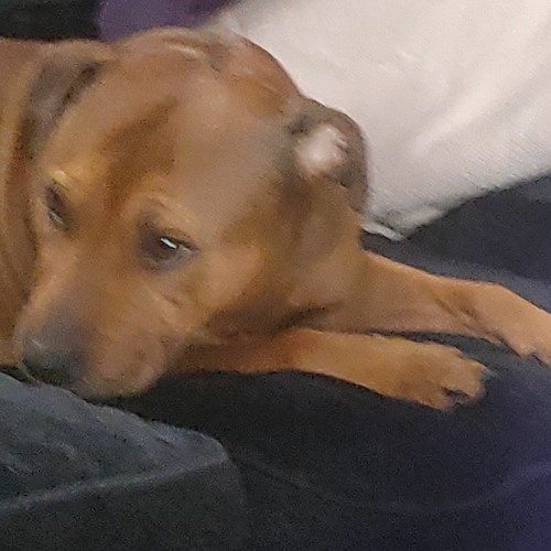 Stream leo music | Listen to songs, albums, playlists for free on ...