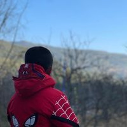 Stream Pema Tshering Samdrup music | Listen to songs, albums, playlists ...