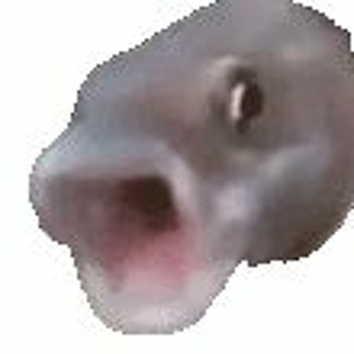 Stream poggers fish music | Listen to songs, albums, playlists for free ...