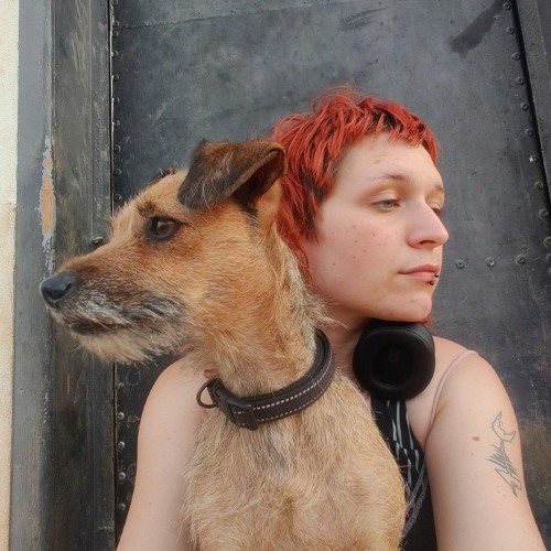 Stream BildschirmShona music | Listen to songs, albums, playlists for ...