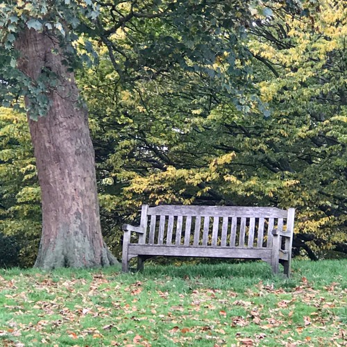 Stream JP Devlin music | Listen to songs, albums, playlists for free on ...