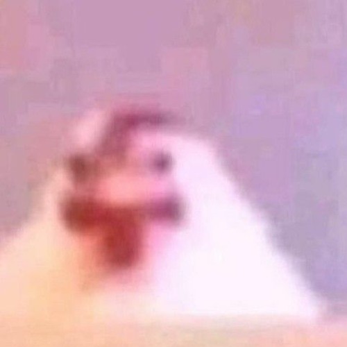 Stream Feefle music | Listen to songs, albums, playlists for free on ...