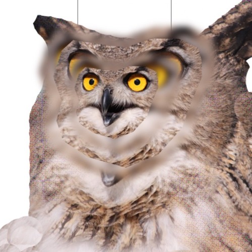 Stream Fred Owl music | Listen to songs, albums, playlists for free on ...