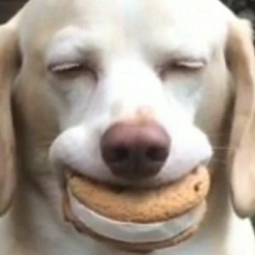 Stream Bob Simpson music | Listen to songs, albums, playlists for free ...