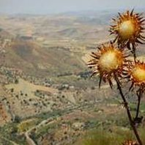 Stream Bejamin.petrucco- music | Listen to songs, albums, playlists for ...