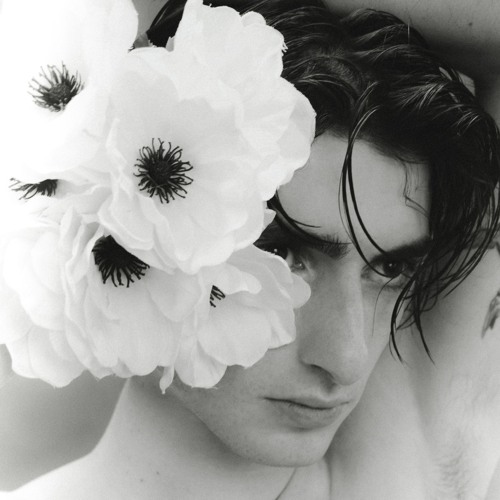 Stream stefan daniel music | Listen to songs, albums, playlists for ...