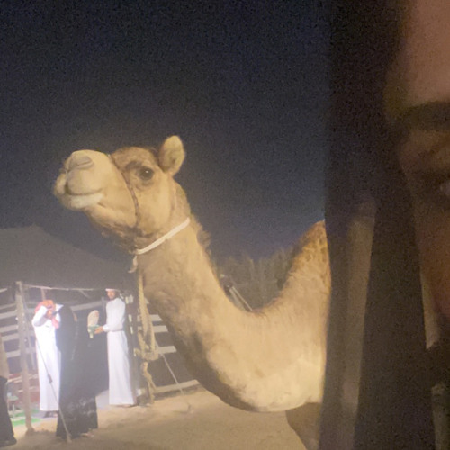 Stream Sahar music | Listen to songs, albums, playlists for free on ...