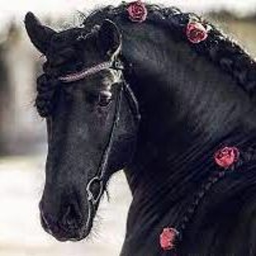 Stream bridget music | Listen to songs, albums, playlists for free on ...