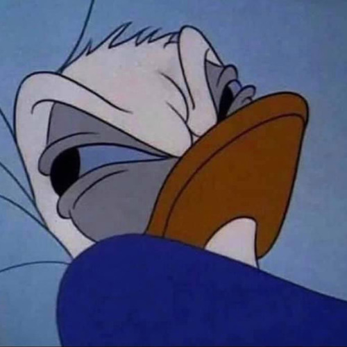 Donald Duck Face Meme
