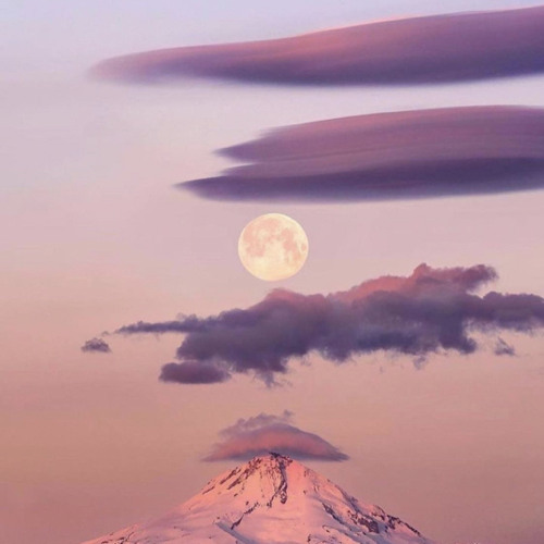 Stream Electric Balloon Company (Ian MacQueen) music | Listen to songs ...