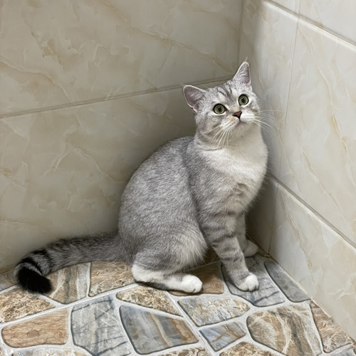 Stream Qu Jerry | Listen to Hip hop down playlist online for free on ...