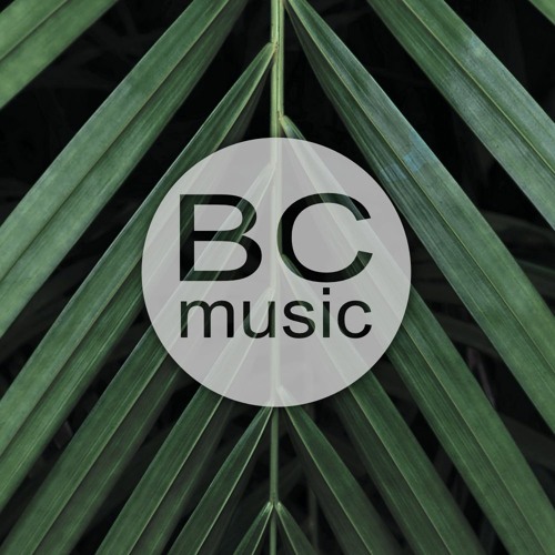Stream Burncastle music | Listen to songs, albums, playlists for free ...