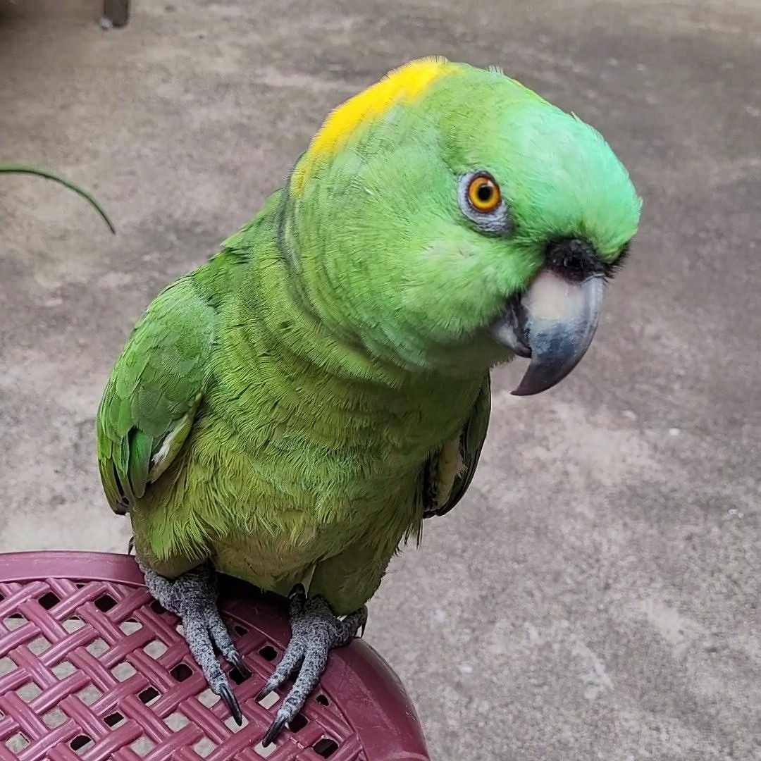 Stream Baladas Mix Vol 1.️ Las mejores baladas Románticas ( Mezclando ...