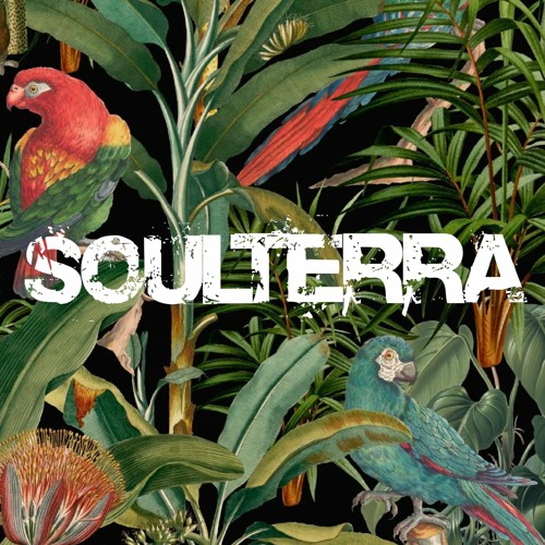 Stream Soulterra music | Listen to songs, albums, playlists for free on ...