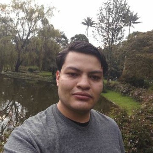 Stream Brandon Ramirez Carrero music | Listen to songs, albums ...
