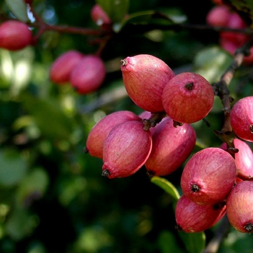 Stream Martin Cottet music | Listen to songs, albums, playlists for ...