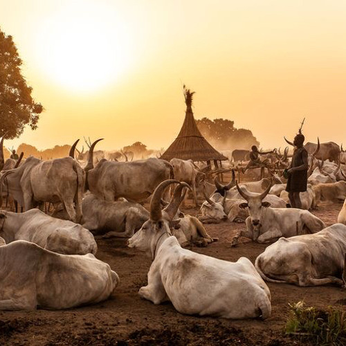 Stream SENSEI JIMI music | Listen to songs, albums, playlists for free ...