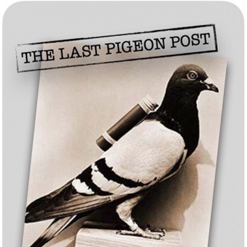 Stream The Last Pigeon Post music | Listen to songs, albums, playlists ...