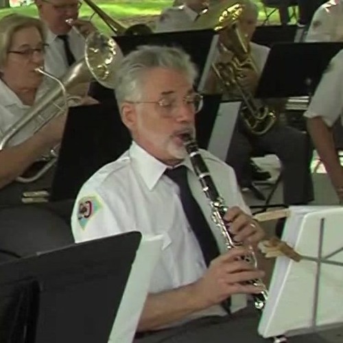 Stream Fr. Robert Anello, MSA music | Listen to songs, albums ...