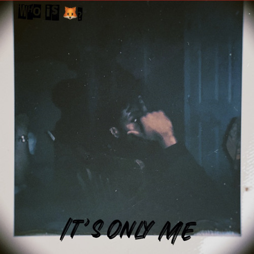 Stream Swiper Da Faux music | Listen to songs, albums, playlists for ...