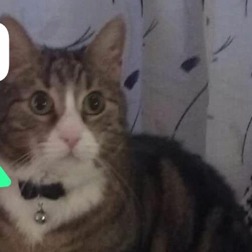 Stream Patrick Toivonen music | Listen to songs, albums, playlists for ...