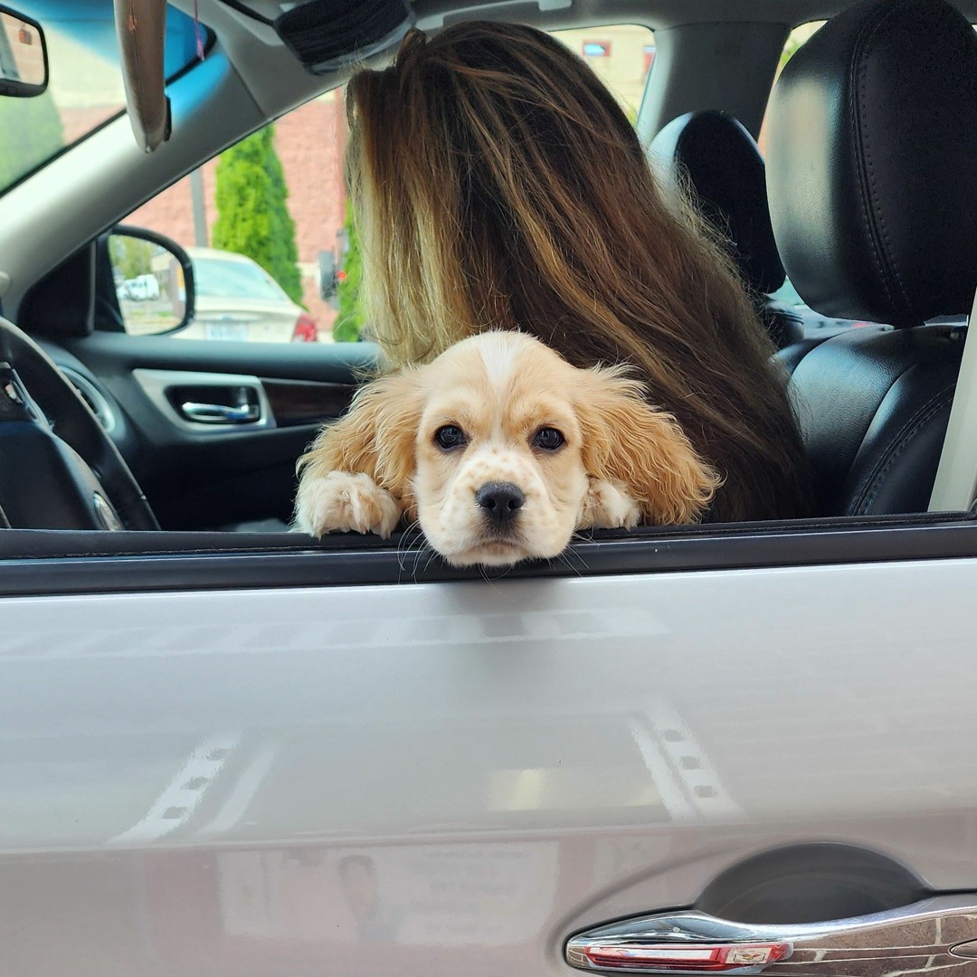 Stream Spongebob Characters Rap Lemonade By Internet Money Don Toliver ...