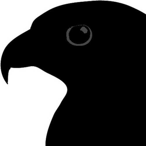 Hawk Head Silhouette