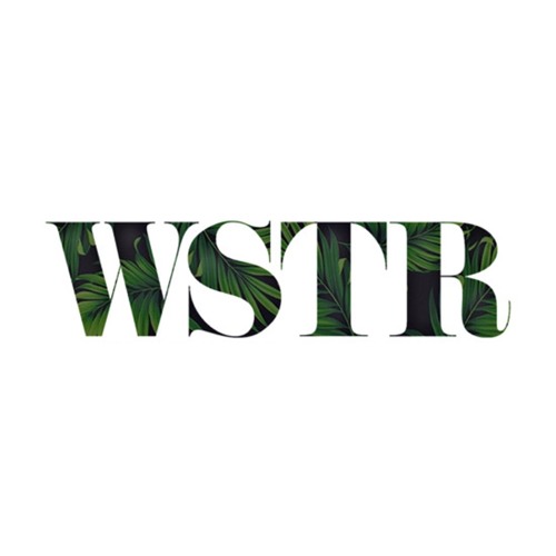 Stream WSTR music | Listen to songs, albums, playlists for free on ...