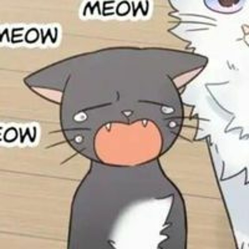 Stream Mofu Tofu music | Listen to songs, albums, playlists for free on ...